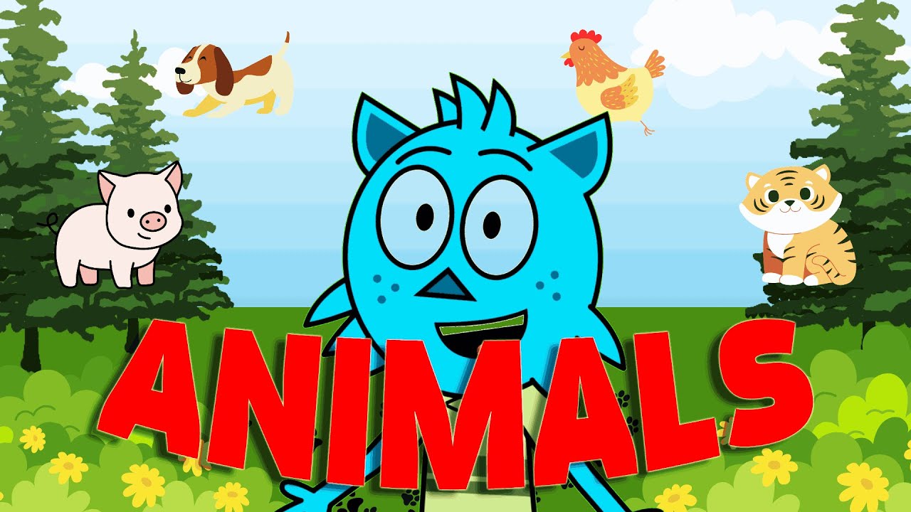 The Wonderful World of Animals - Episode 1: Jungle, Ocean, and Backyard ...