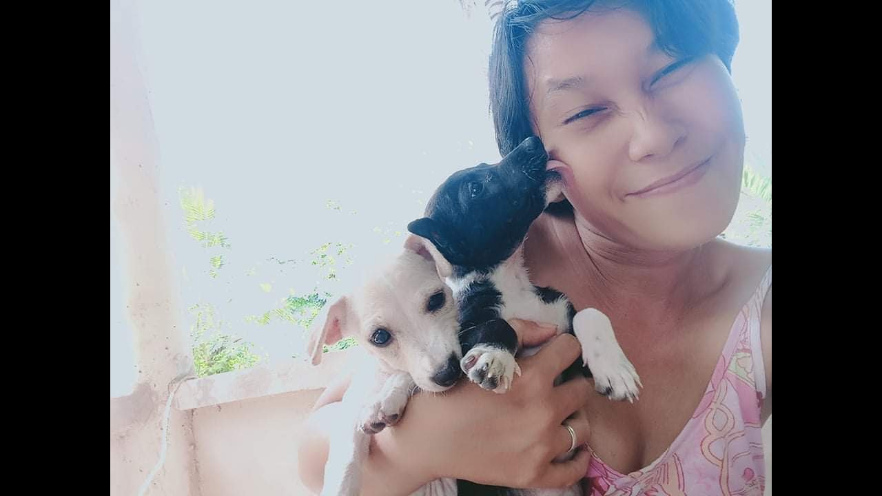 Pagmamahal sa Mga Alagang Aso #dog #doglover - YouTube