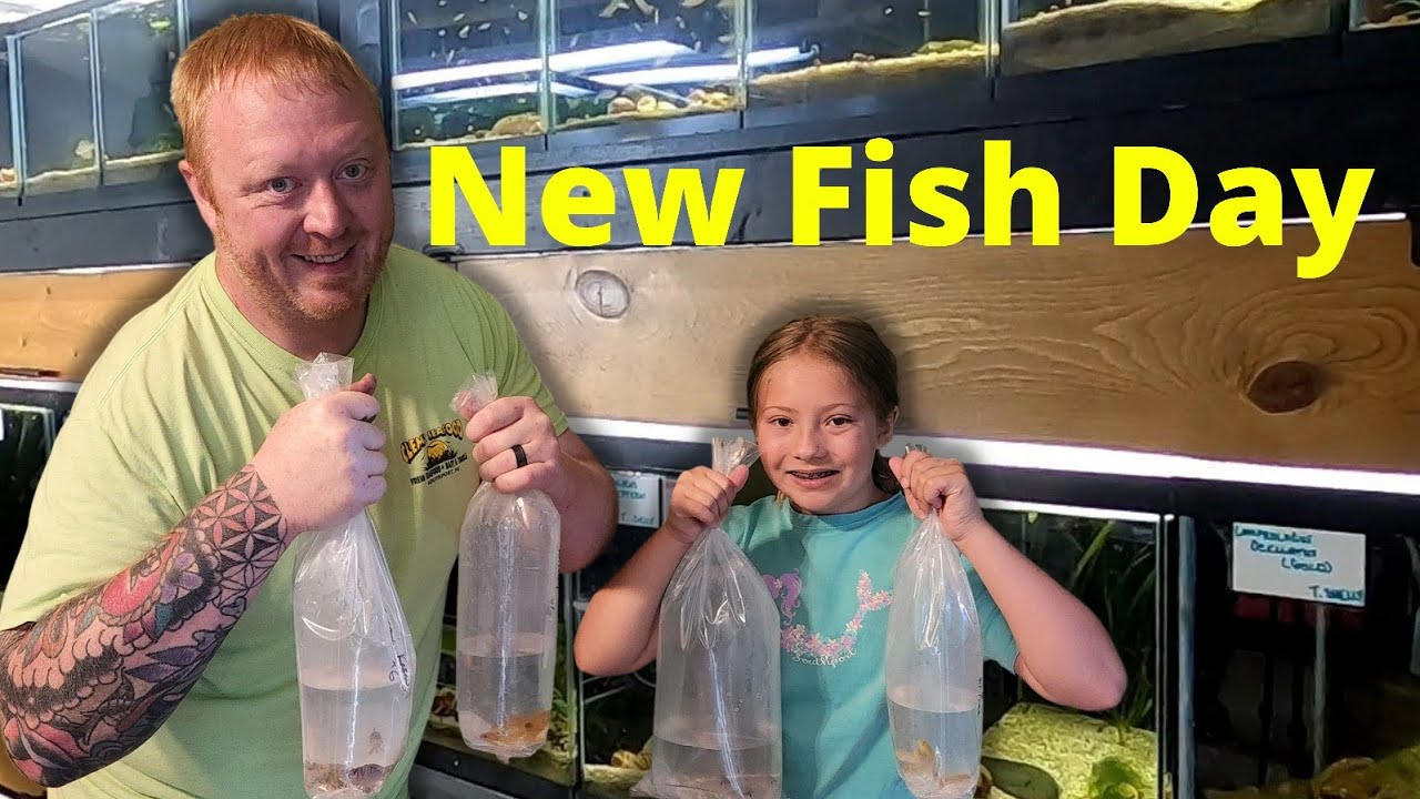 Unboxing New Tanganyika Cichlids from Dave's Rare Aquarium Fish - YouTube