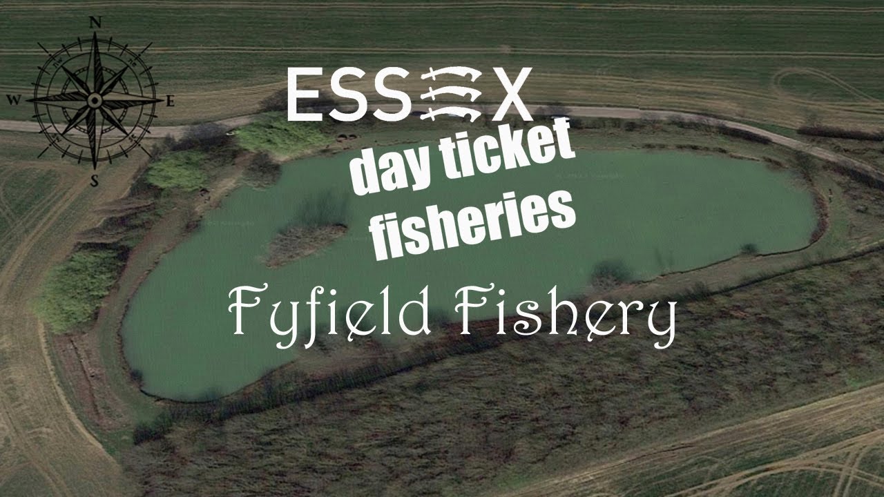 Carp Fishing / Essex Day Tickets - Fyfield Fishery - YouTube