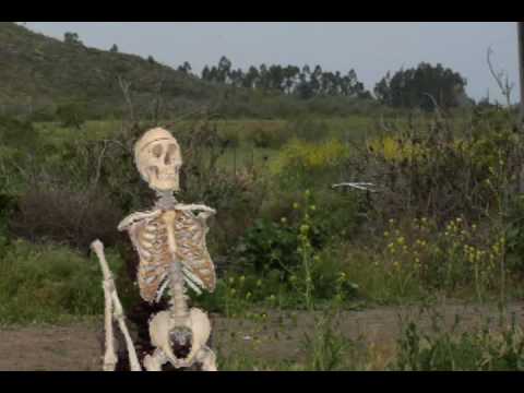 Skeleton Explosion - YouTube