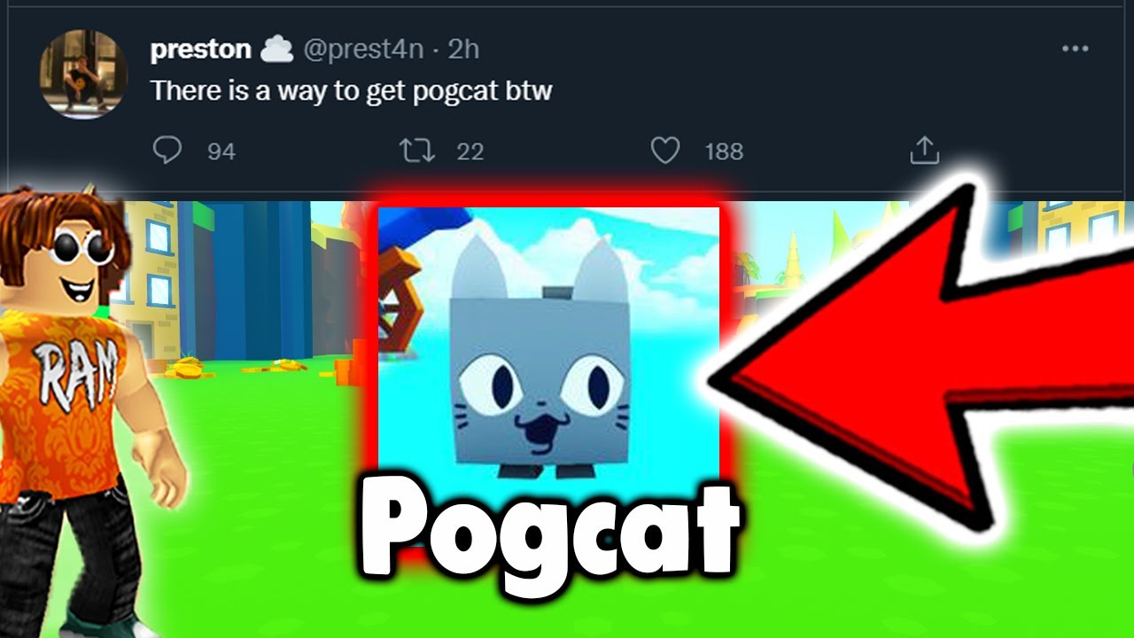 All The Possible Scenarios to Get The PogCat pog champ? in Pet ...