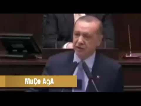TAMAM KLİP'İ /TÜRKİYE BU TAMAM'LARI KONUŞUYOR
