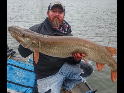 Muskie Lures Vol 2 A Fistful of Lures with Cory Allen