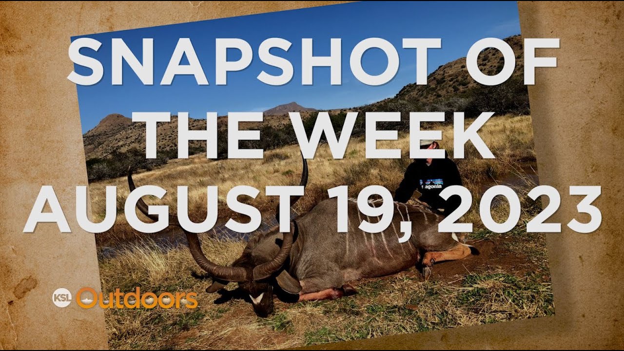 Snapshot of the Week: August 19, 2023 - YouTube