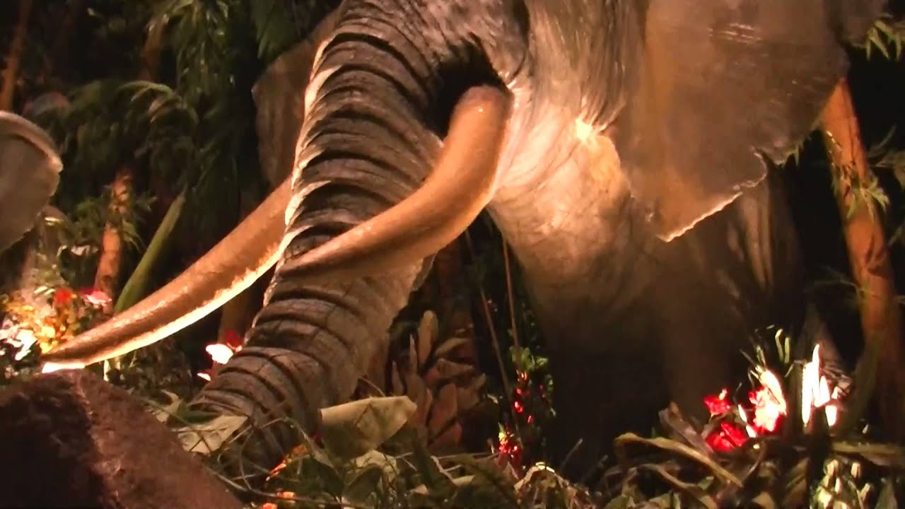Japan Tokyo disneyland Ikspiari rainforest cafe elephant - YouTube