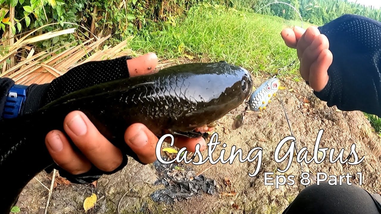 CASTING IKAN GABUS / SNAKEHEAD / HARUAN EPS 8 PART 1 - YouTube
