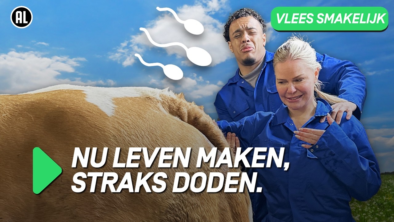 Laatste 72 uur voordat we onze koe SLACHTEN en OPETEN | VLEES SMAKELIJK ...