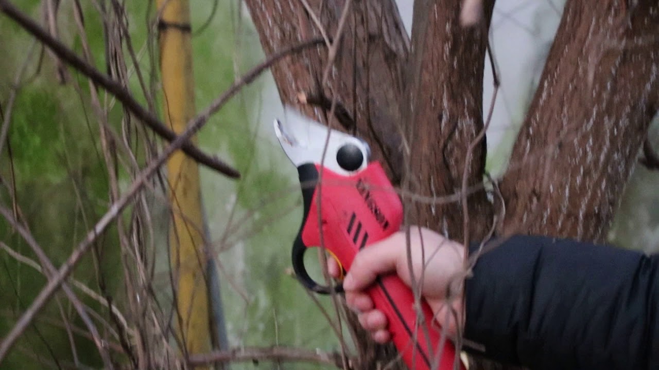 electric pruner - YouTube