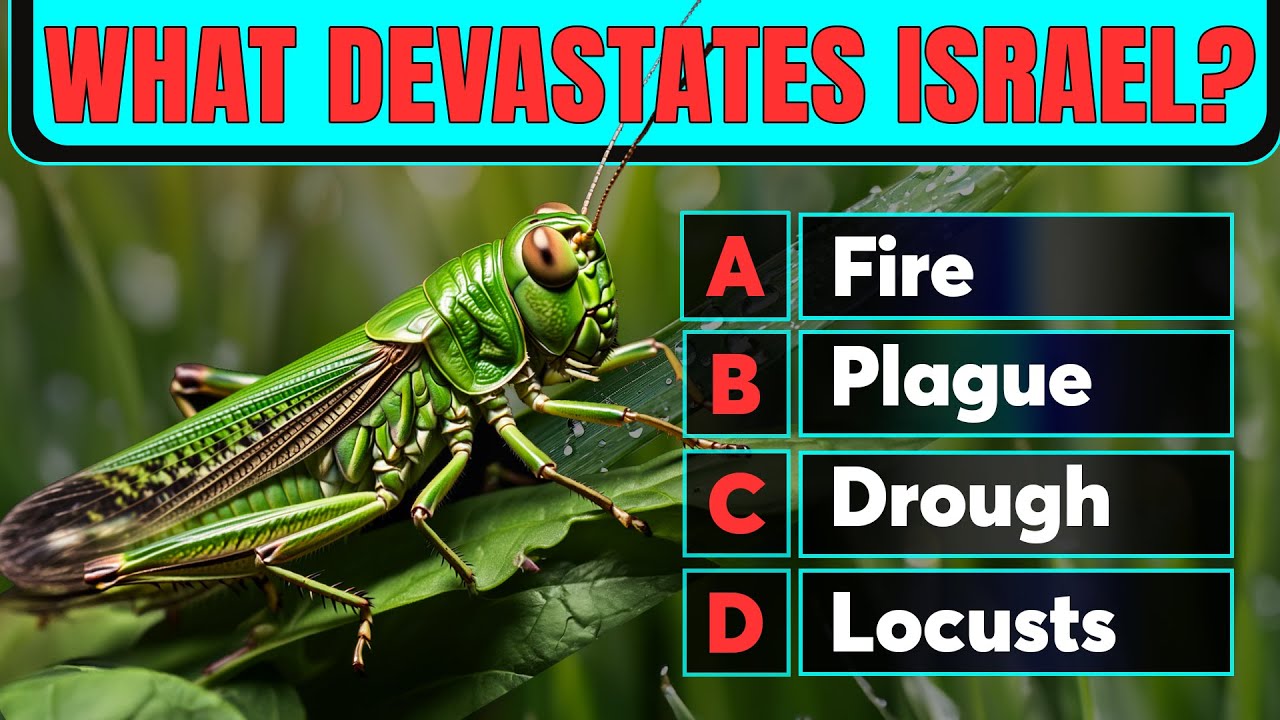 25 BIBLE QUESTIONS TO TEST YOUR BIBLE KNOWLEDGE - Easy Moderate Hard ...