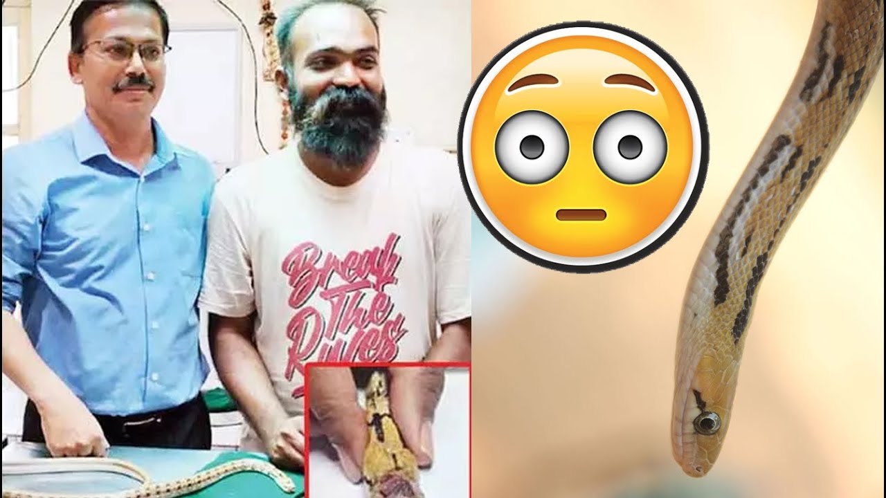 Removal of a cancerous tumor from the snake's head; Appreciation is ...