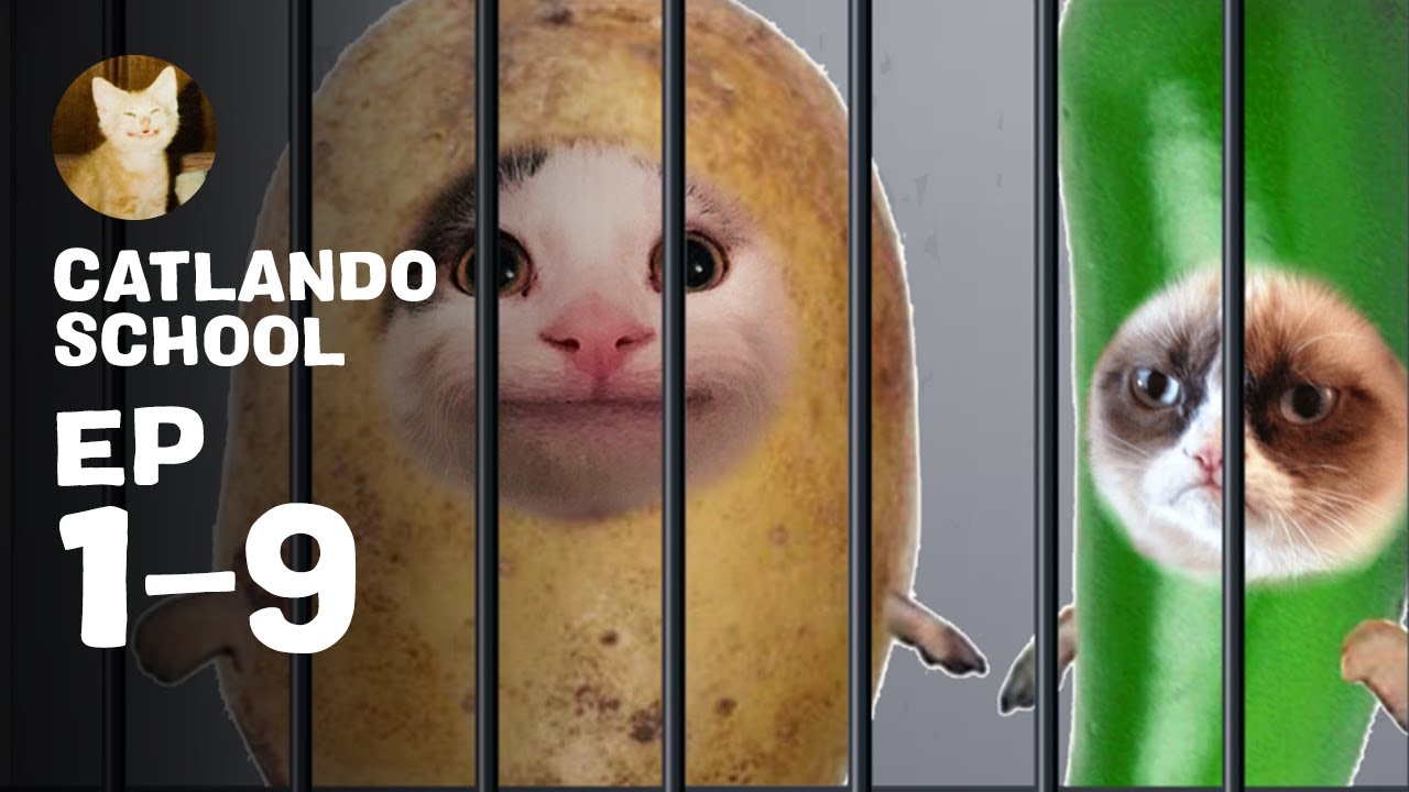 CATLANDO MOVIE 🐱 (EP 1-9) #cartoon #catmemes #animation - YouTube