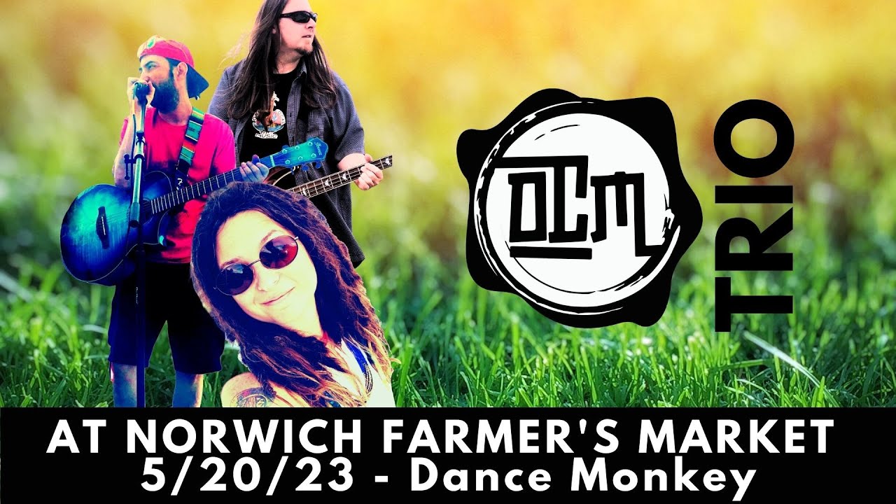 Dance Monkey | Tones and I Cover | by OCM Trio @ Norwich Farmer's ...