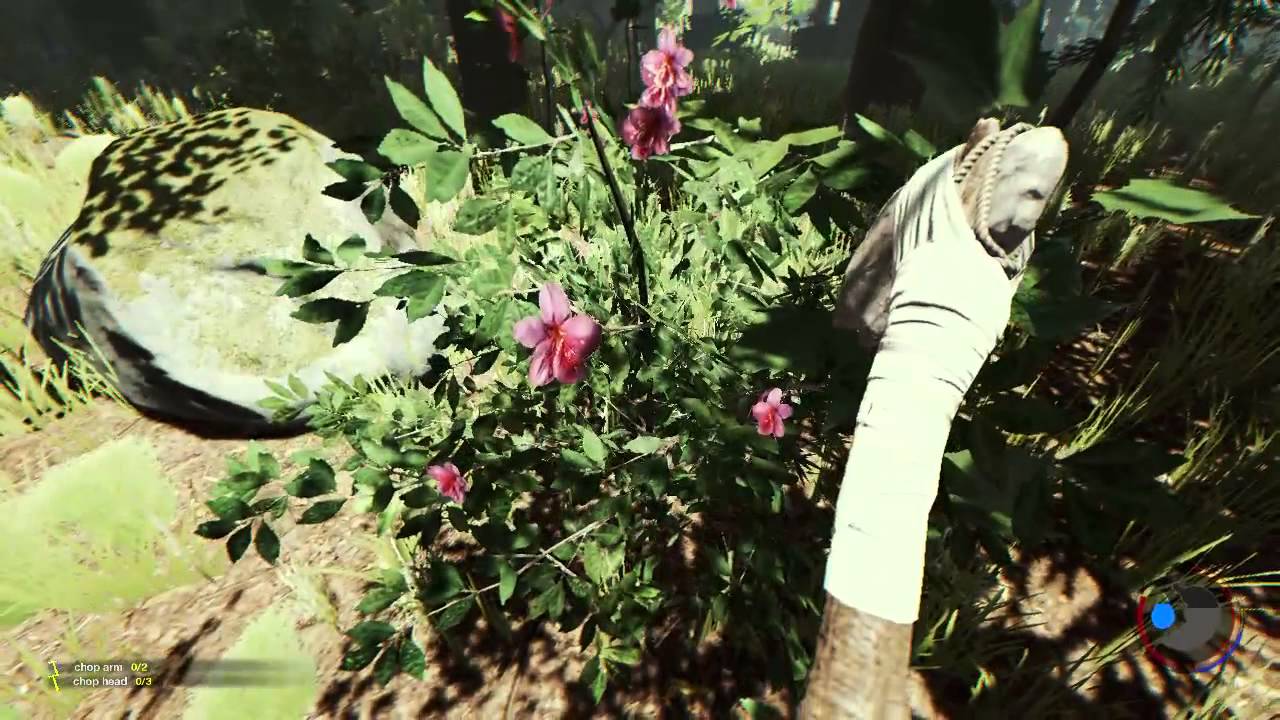 The Forest Sex In Forest Bölüm 6 Youtube
