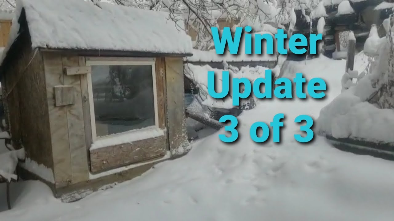 Winter Update 3 of 3 - YouTube