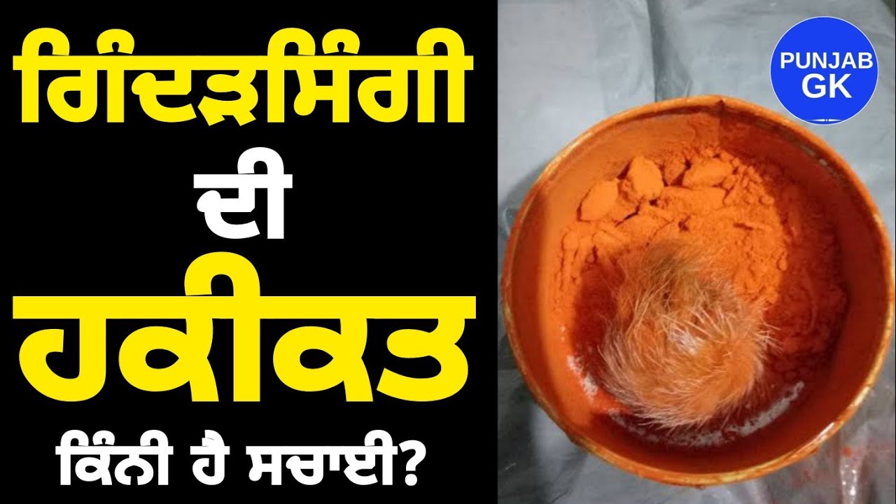 Gidar Singhi Ki haqeeqat | Gidar Singhi a Miracle Fraud | History of ...