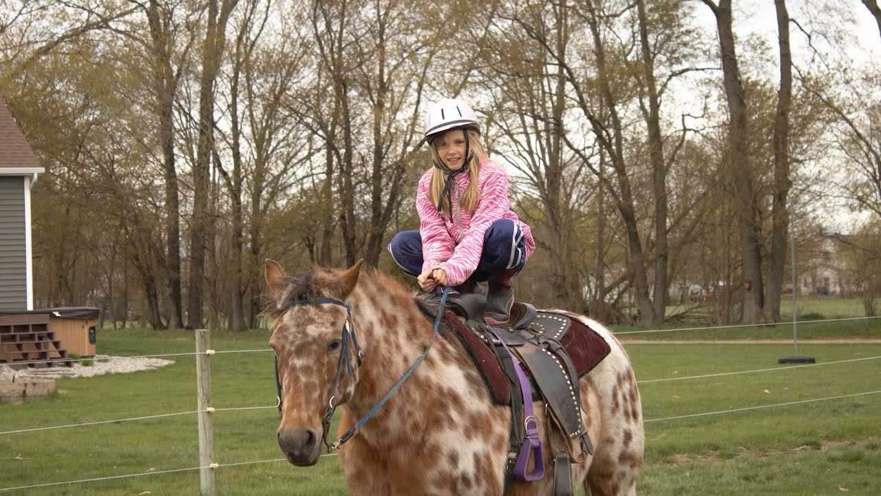 COM-112 Persuasive Speech - YouTube