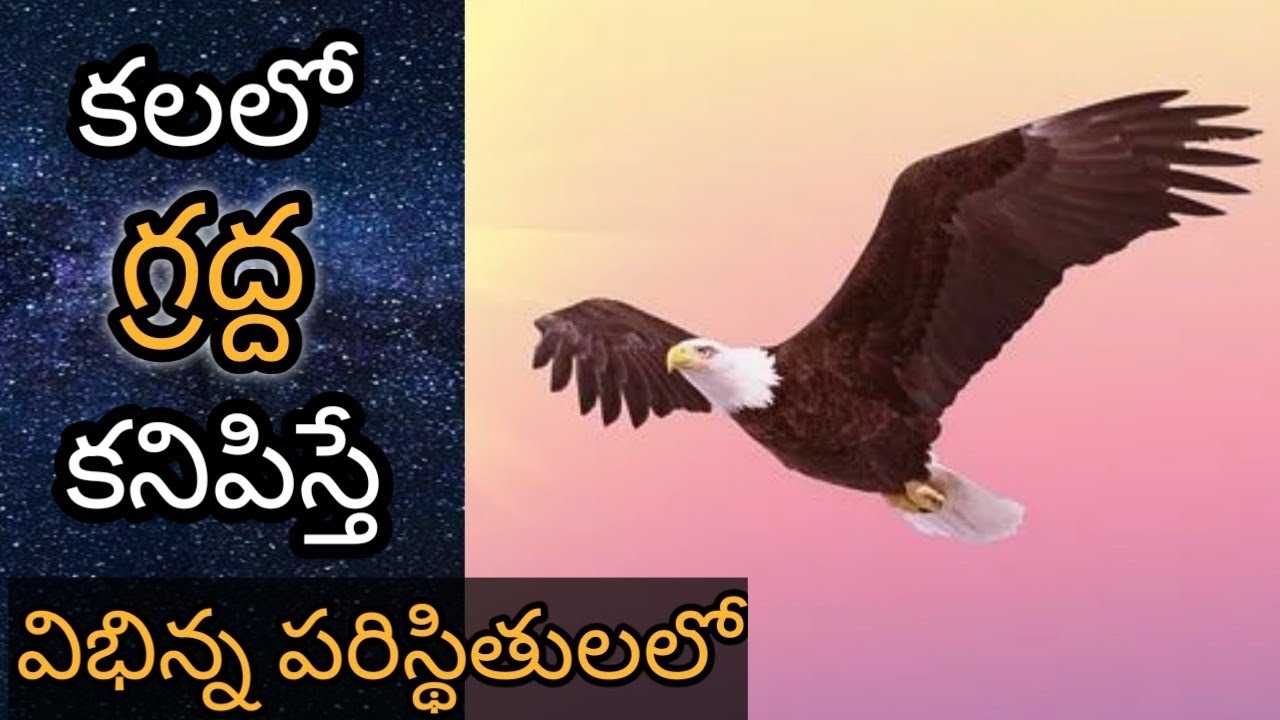 కలలో గ్రద్ద కనిపిస్తే || Kalalo Gradha Kanipiste || Kalalo Gadha ...