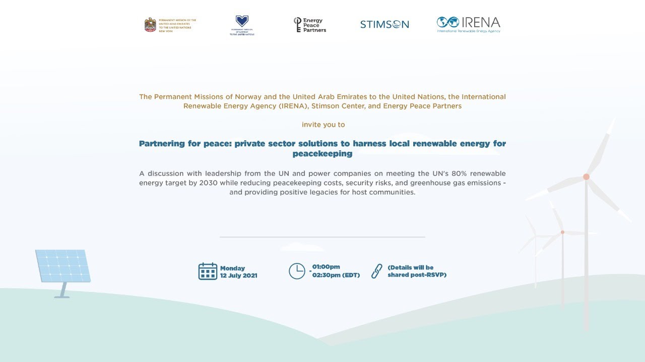 Partnering for Peace: Private Sector Solutions to Harness Local ...