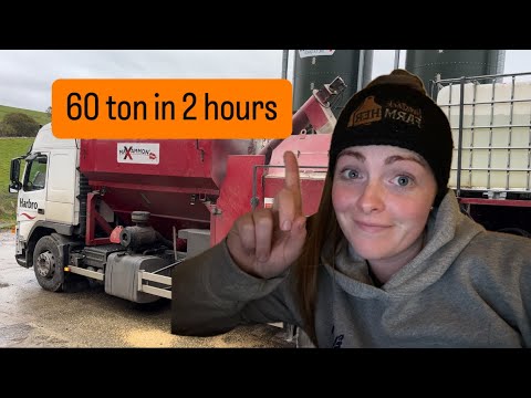Busy but good day! - YouTube