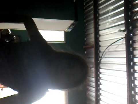 bailando dura genesis lopez
