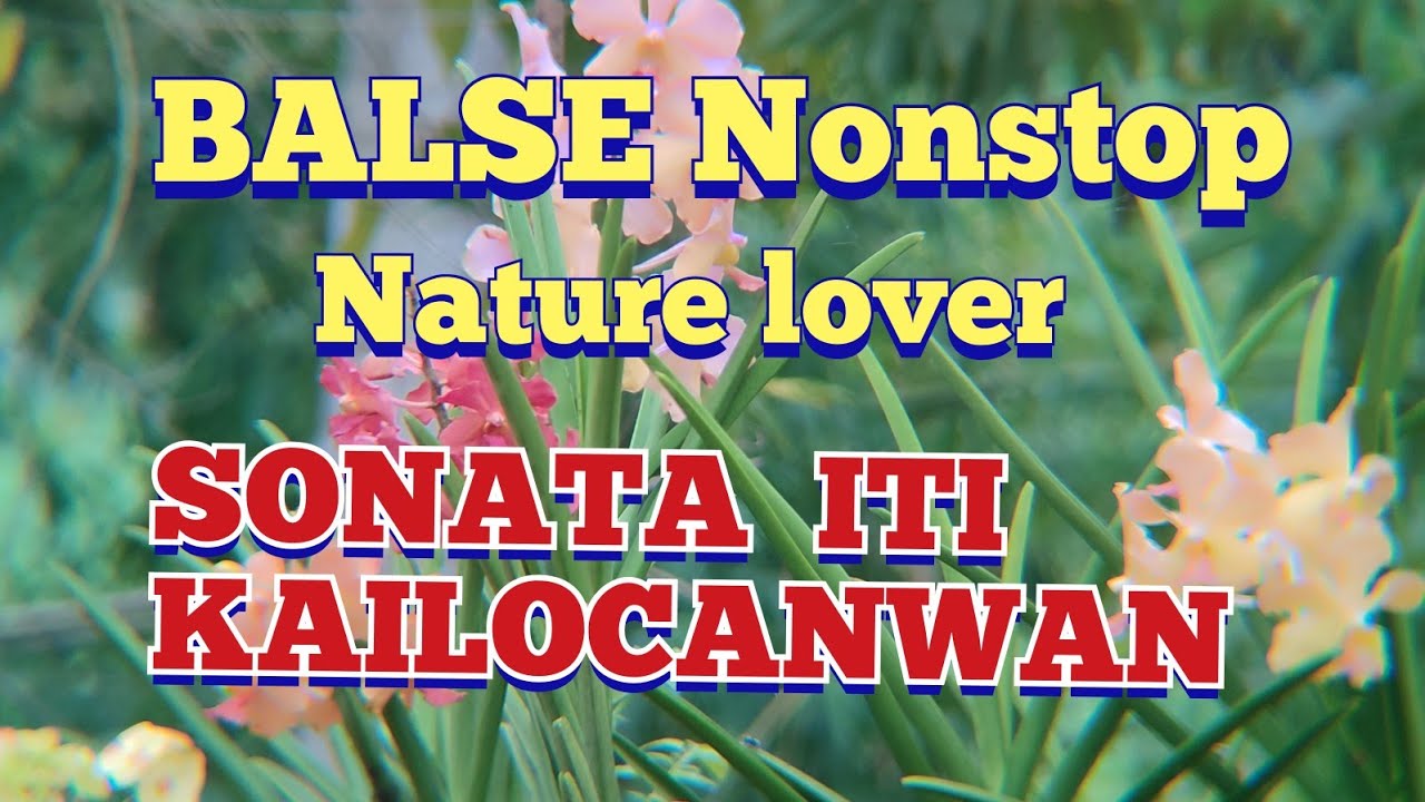 BALSE ILOCANO /SALUYOT BALSE ILOCANDIA - YouTube