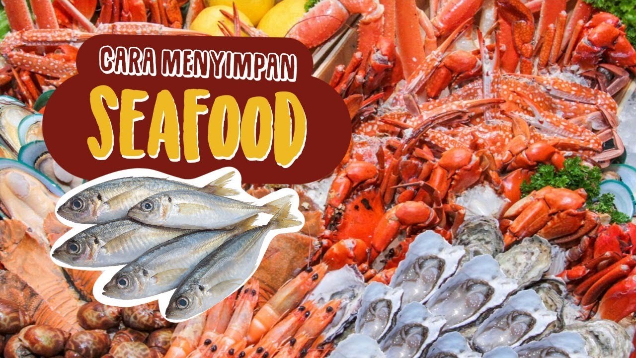 Udang Jadi Tahan Lama Dan Gak Busuk Dengan Cara Ini ! Tips Menyimpan ...