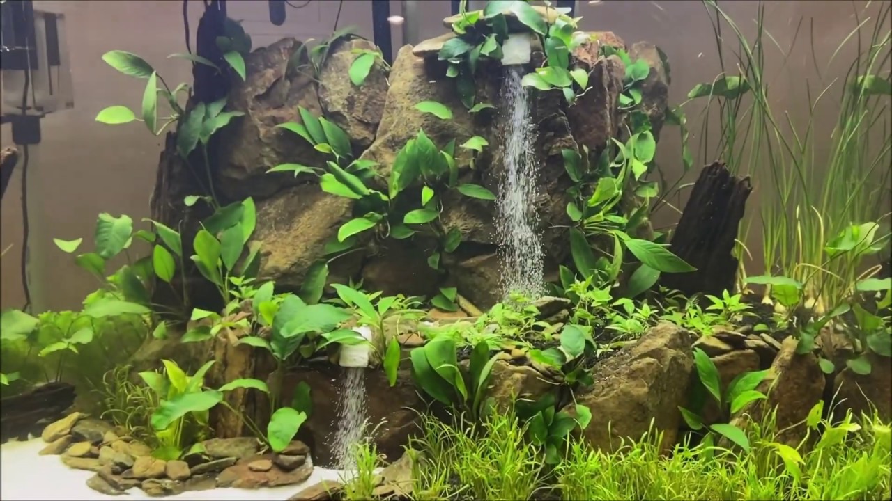 Dual Waterfalls in a 225 gallon tank - YouTube