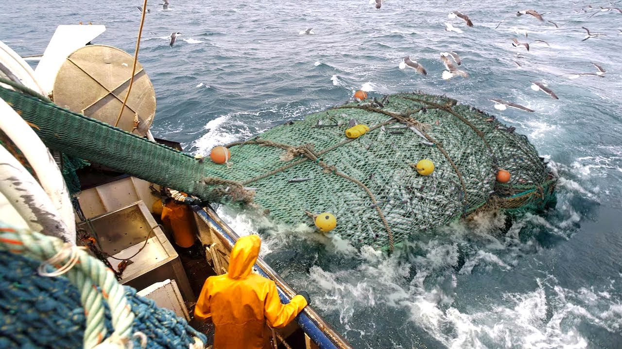 Life On Largest Midwater trawling Vessel - Fishing trip on trawler the ...