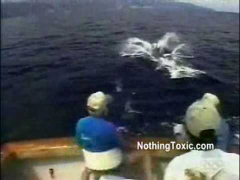 Major Fishing Fail - YouTube