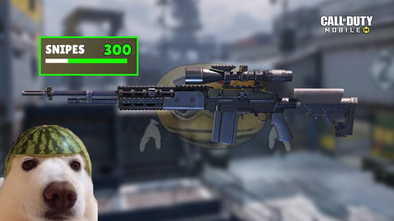 M21 EBR is the BEST sniper in CODM - YouTube