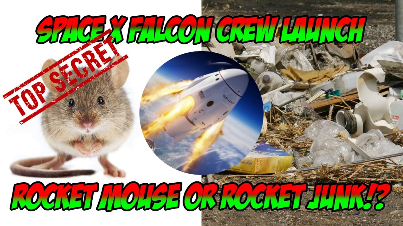 Red Pill or Blue Pill - A Top Secret Analysis of NASA's Falcon-Dragon ...