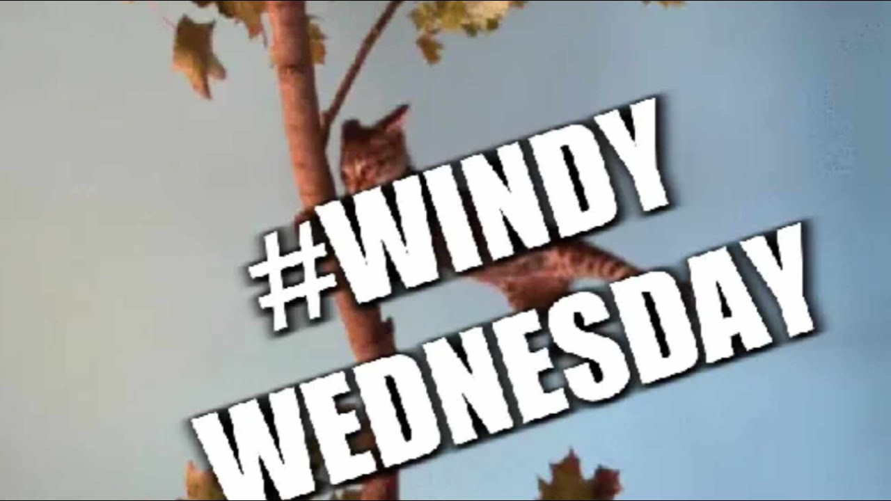 #WindyWednesday - YouTube
