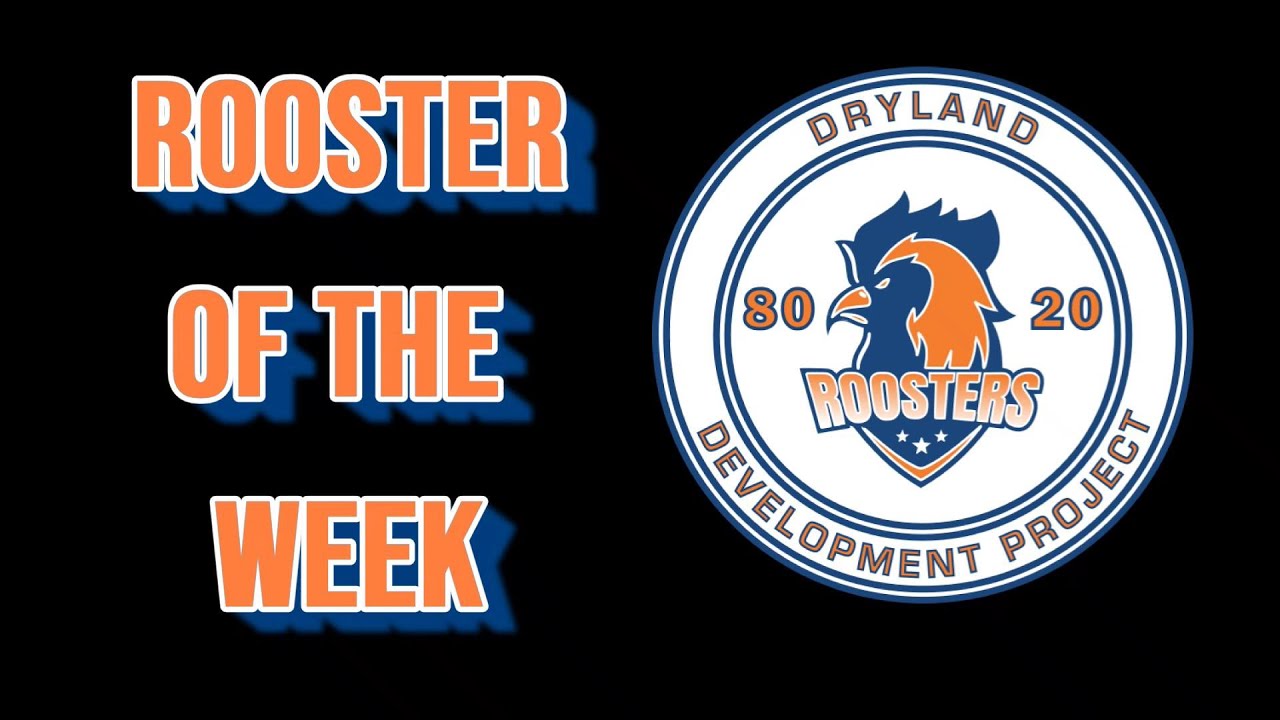 Rooster of the Week! (Weeks 2 and 3) - YouTube