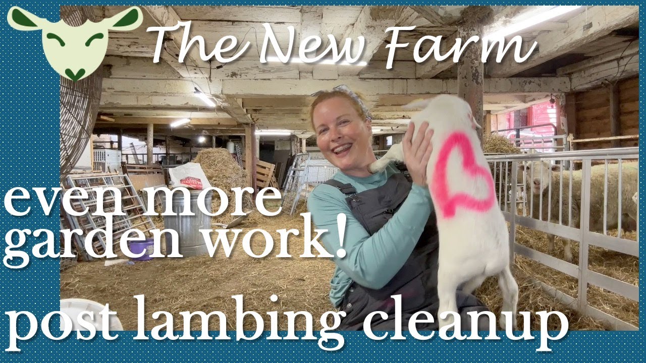 Vlog 035 - Drip Irrigation and Barn Cleanup - YouTube