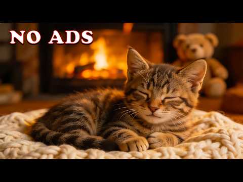 12 Hours Of Relaxing Music for Cats 🐾 Create a Calm Safe Space for Anxiety Relief, Healing
