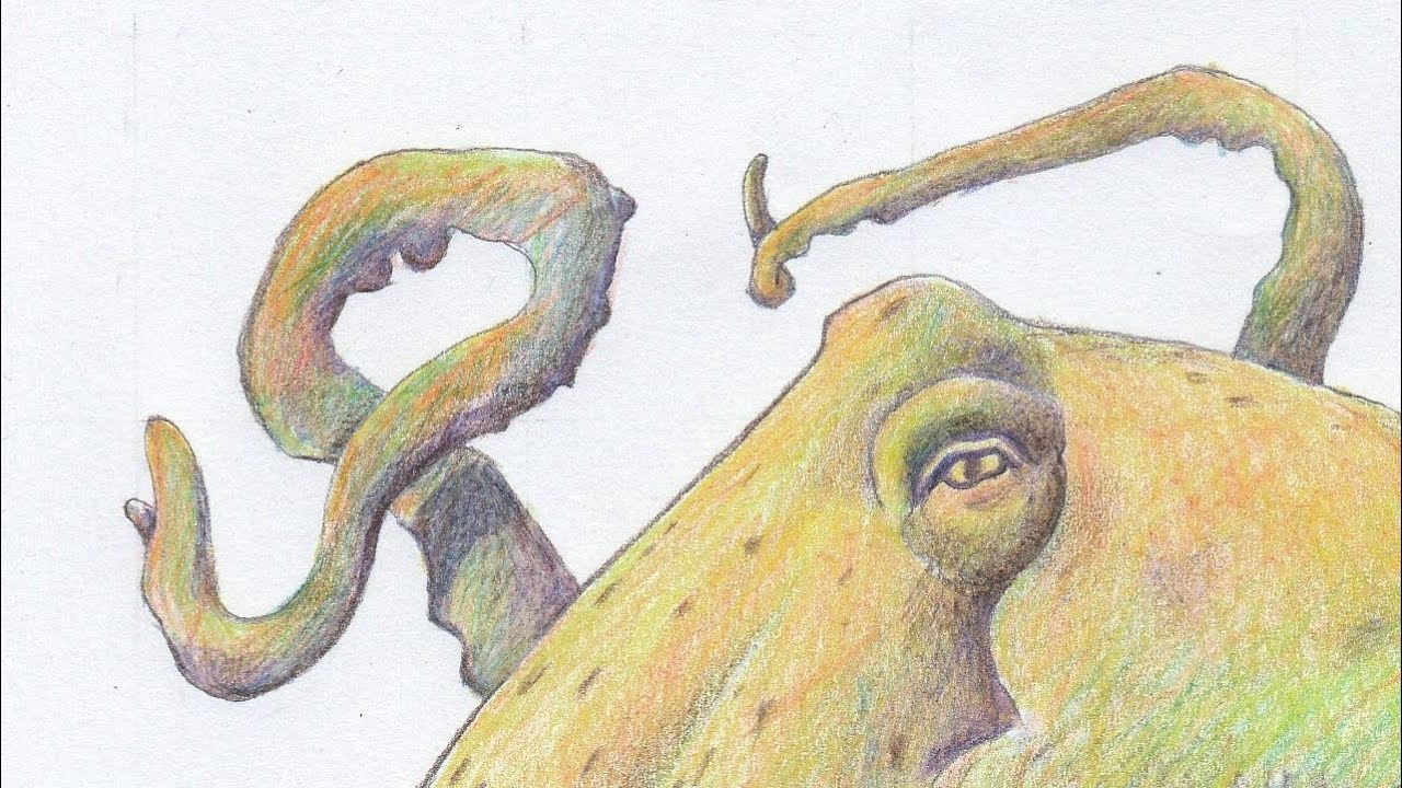 Octopus Drawing - a step-by-step demonstration - YouTube