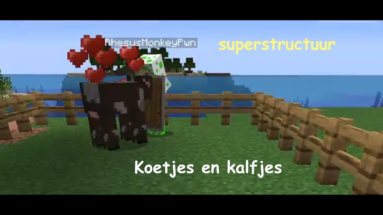 Minecraft: Dennis en Pim bouwen aan een vriendschap - YouTube