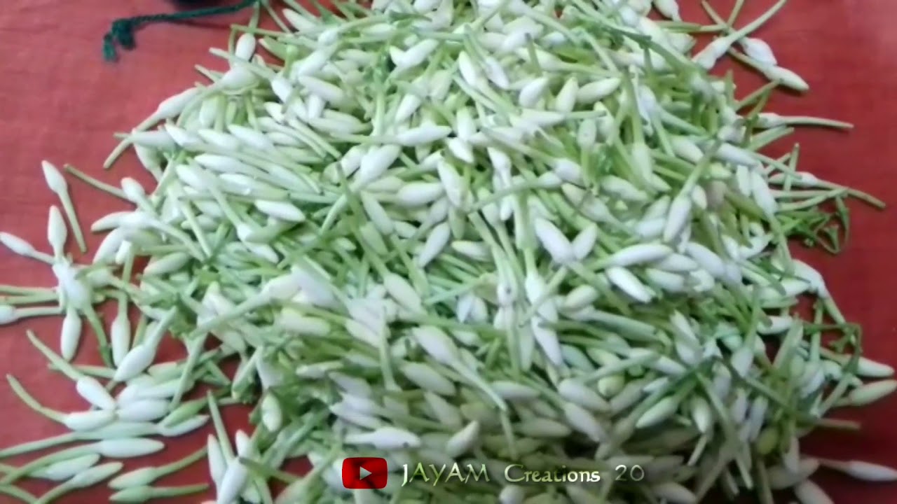 Two Different Types of Mullai Poo Stringing | Jayam Creations 20 | # ...