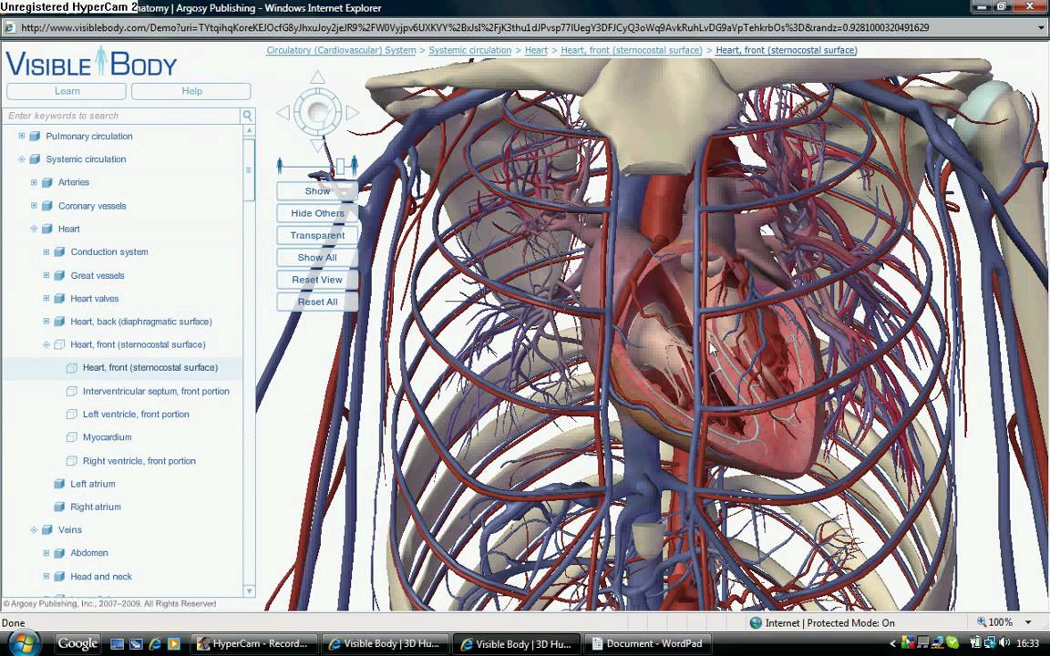 visible body: inside the the heart and brain - YouTube