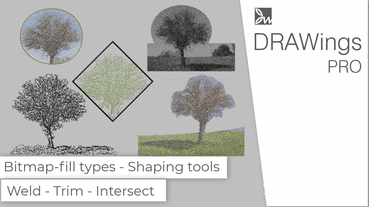 Mastering Shaping Tools For Bitmap Fill Types Weld Trim And mastering-shaping-tools-for-bitmap-fill-types-weld-trim-and