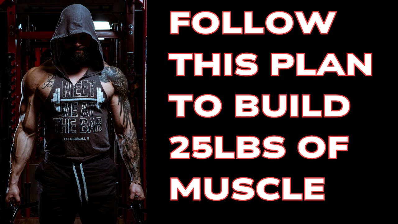 Workout Plan For Gym Noobs | Building Your First 25lbs of Muscle ...