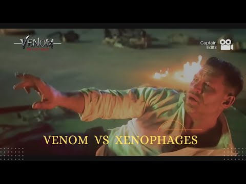 Venom all symbiotes vs Xenophages Full Fight_Venom The Last Dance Last ...