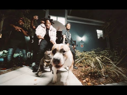 Trapland Pat - Losses (Official Video)