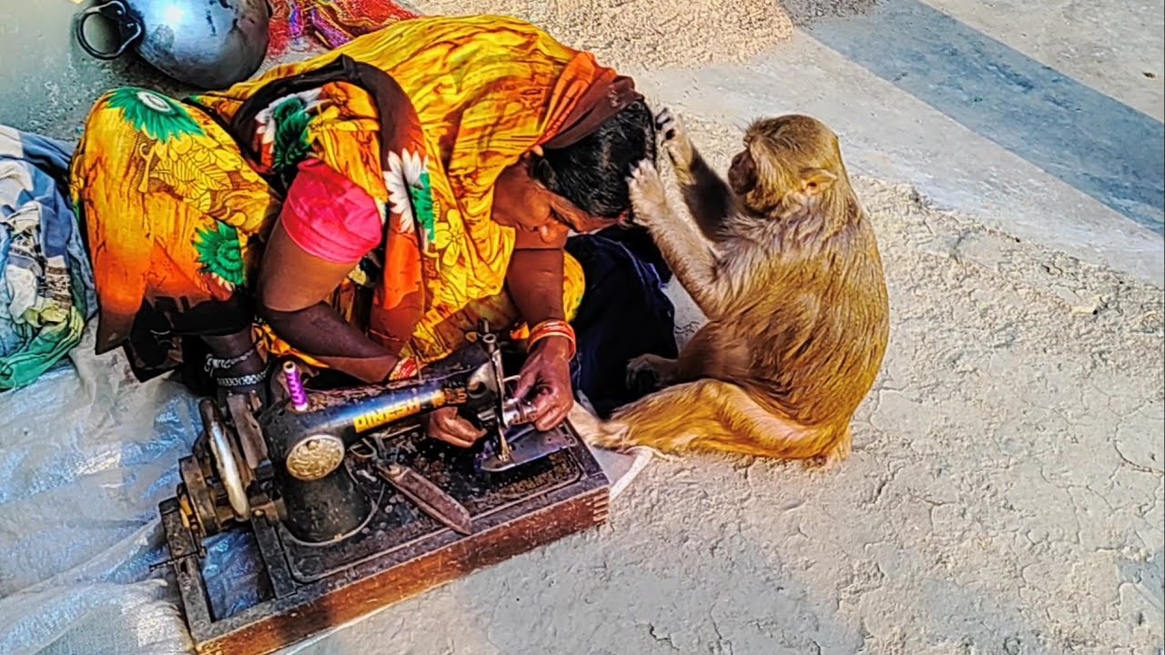मंकी रानी कौन है।। रानी की मम्मी कौन है।।Who is Monkey Rani? Who is ...