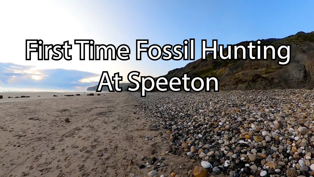 First Time Fossil Hunting At Speeton. - YouTube