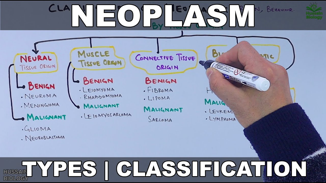 Neoplasm | Types and Classification - YouTube