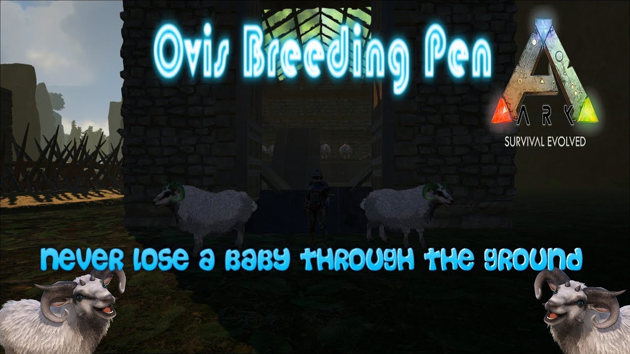Ark Survival Evolved How To Build A Ovis Breeding Pen [Stops Baby Ovis ...