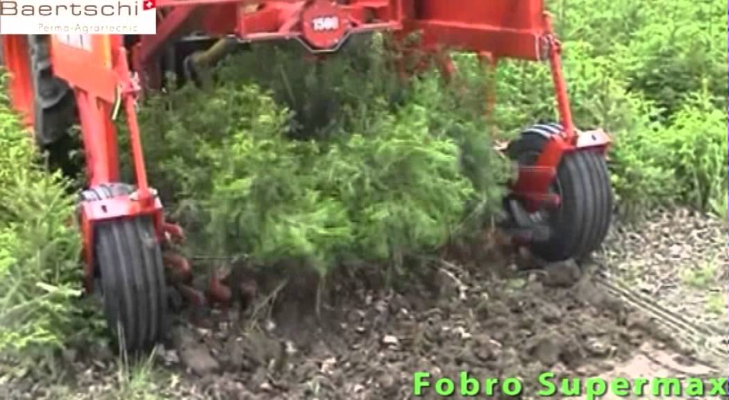 FOBRO Supermax Beetroder - YouTube