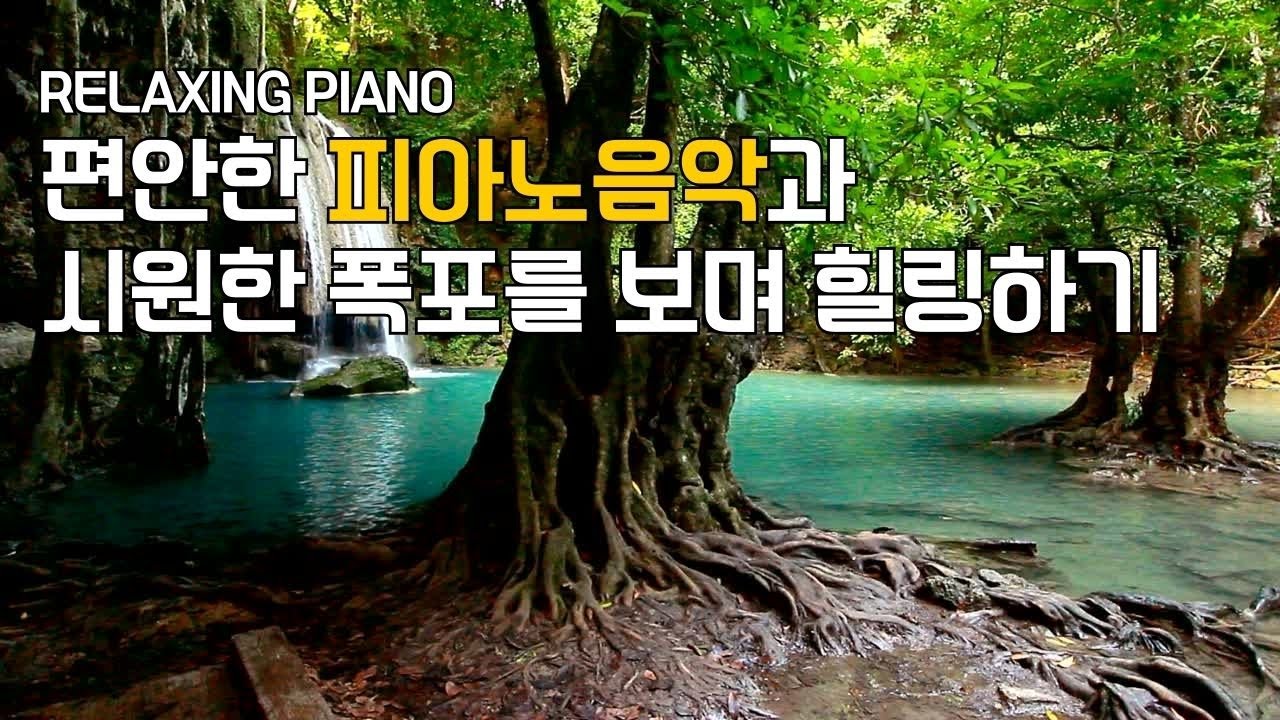 기분 전환이 필요 할 때 듣는 힐링음악 🌳불면증치료음악 우울증 카페음악 공부 할때집중력이 필요 할때일 할때 스트레스